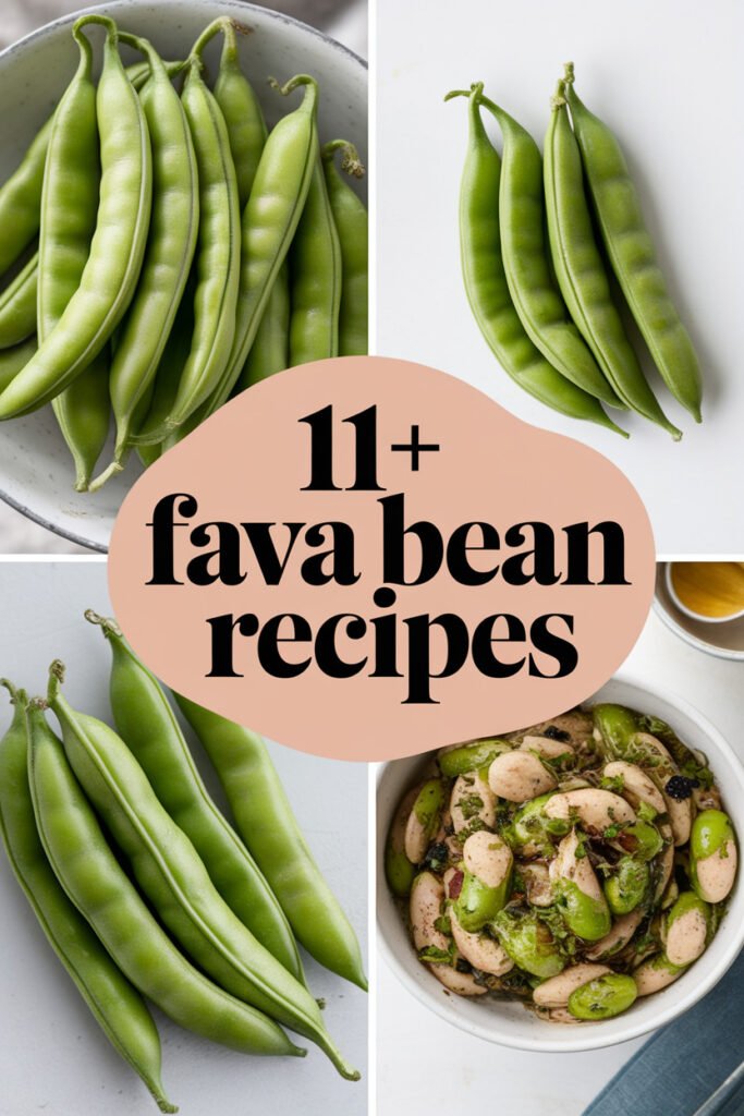 11+ Delicious Fava Bean Recipes – loyalflow